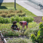 Brody Neighborhood | Virtual tour