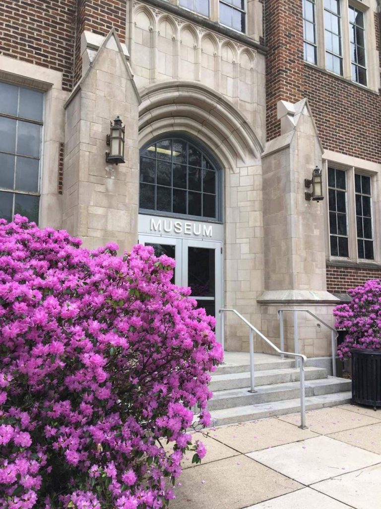 MSU Museum | Virtual tour