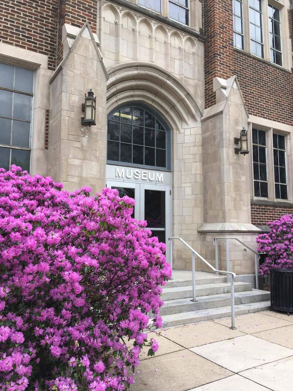 MSU Museum | Virtual tour